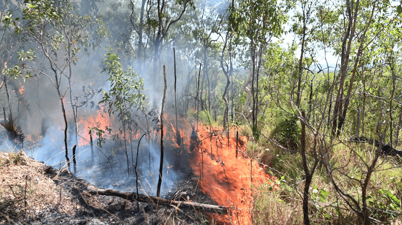 Fire Smart Mareeba Shire - Gulf Savannah NRM