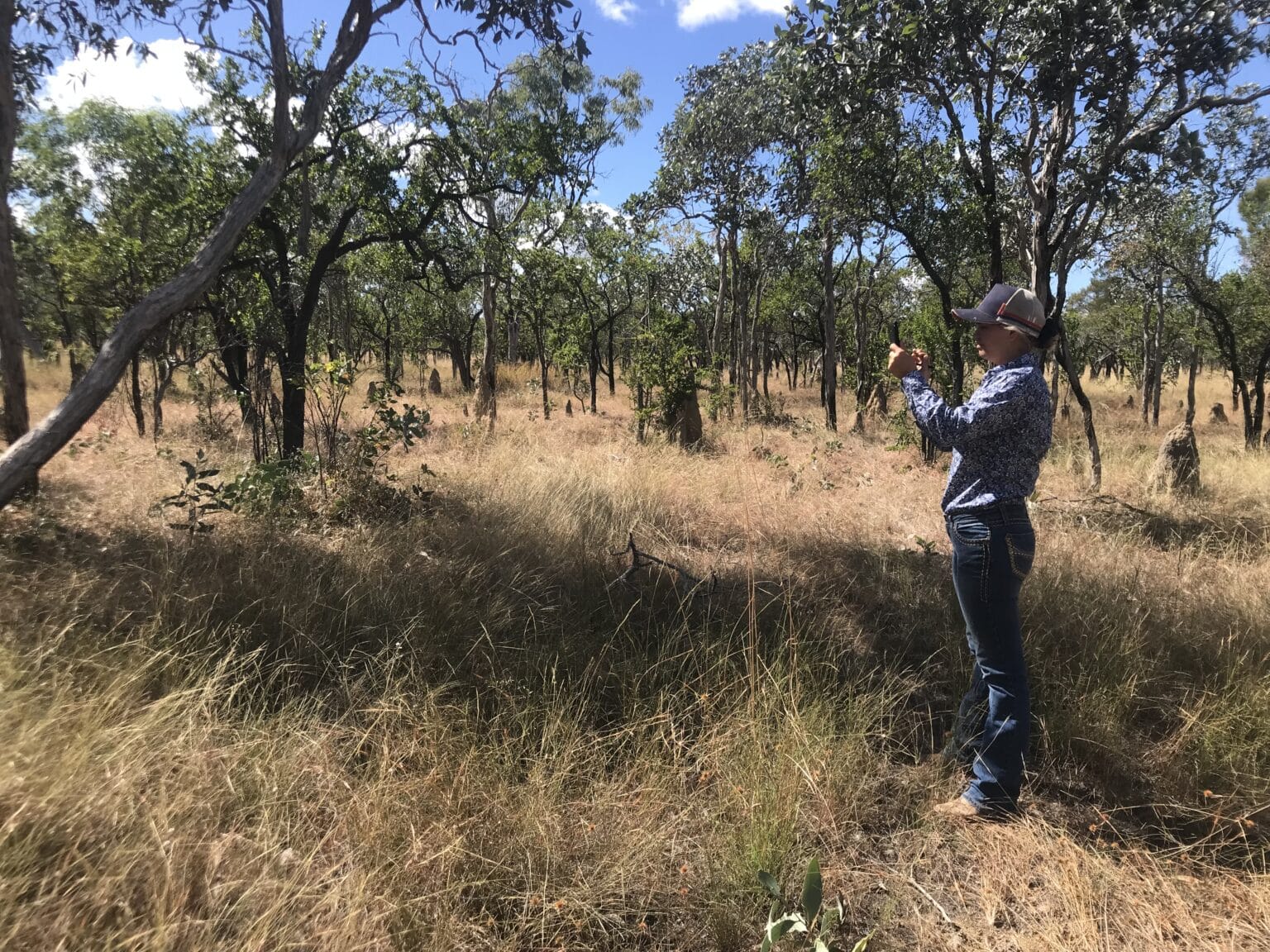 Land Monitoring and Evaluation - Gulf Savannah NRM Land Monitoring and Evaluation - Gulf Savannah NRM