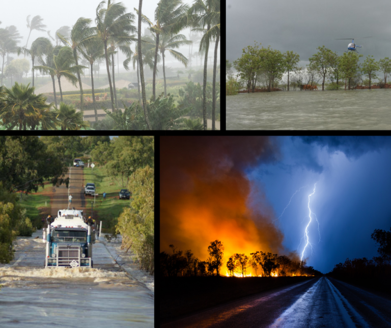 Natural Disaster Recovery Resource Collection - Gulf Savannah NRM