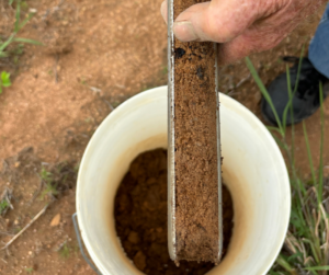 Understanding Soil Tests - Gulf Savannah NRM